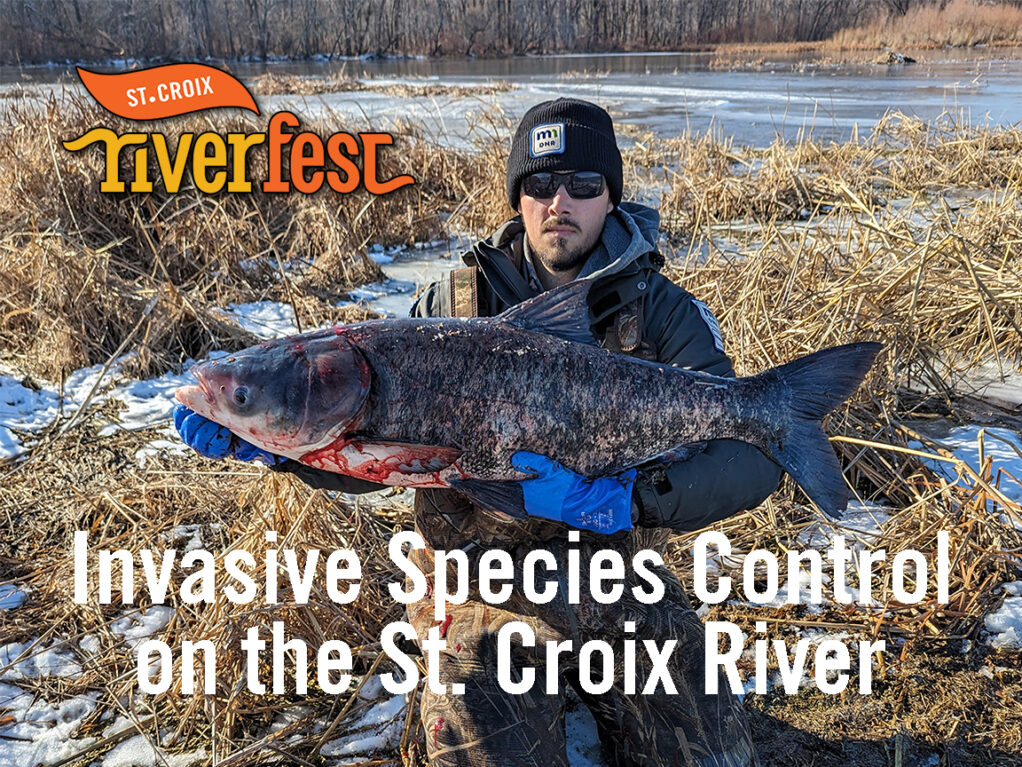 Invasive Species Control on the St. Croix River – Demonstration ...
